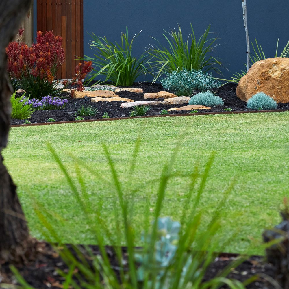 Backyard Creations
