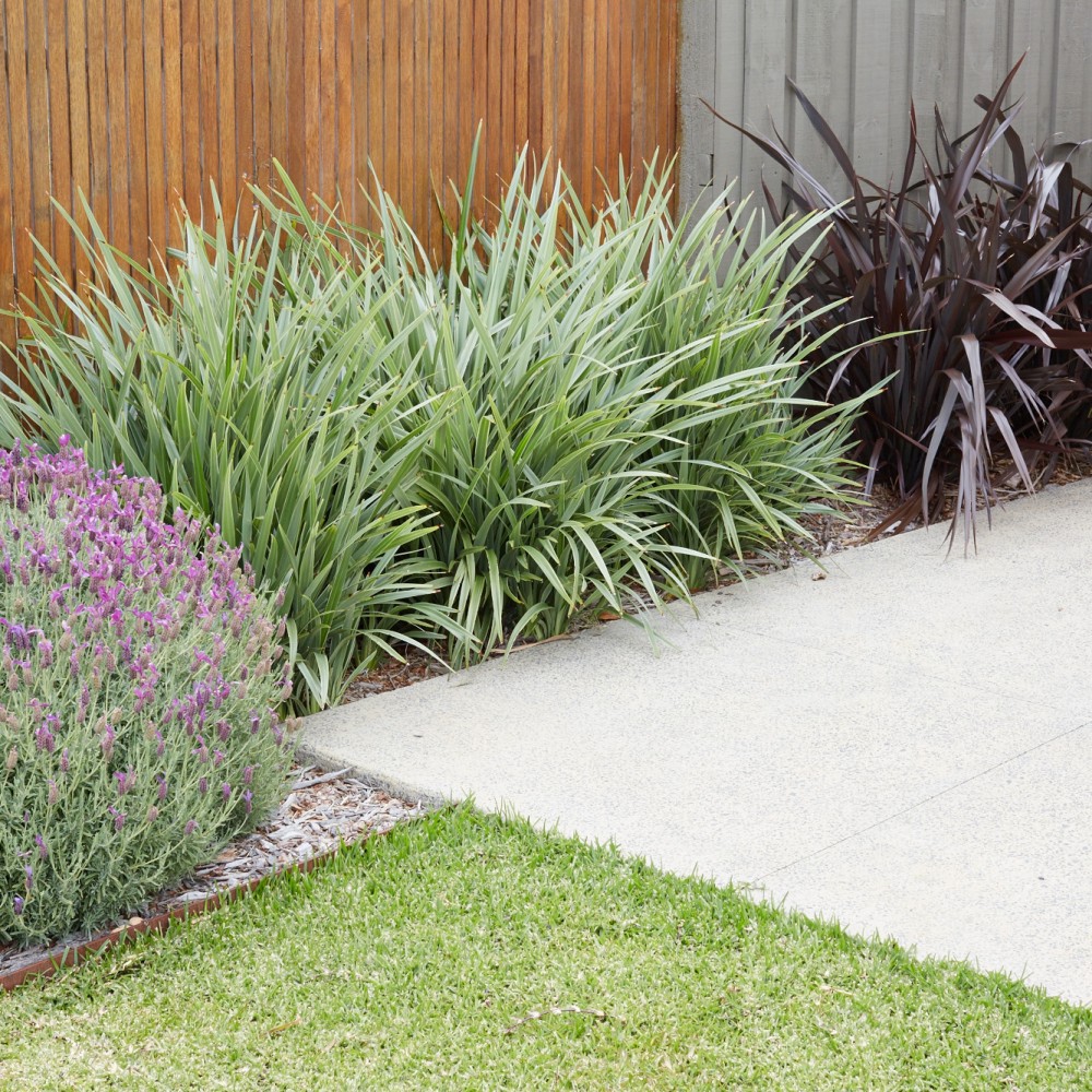 Projects : Backyard Creations