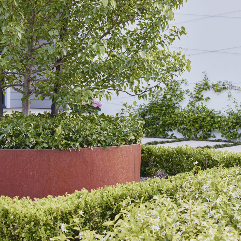 Maintain : Backyard Creations I Landscape Design Build Maintain I ...